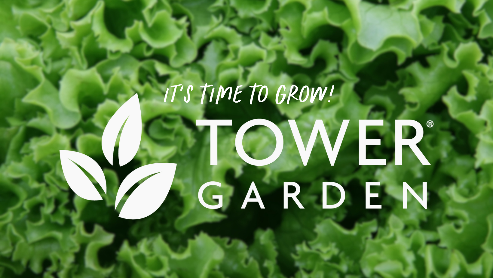 Tips and Tricks for New Tower Gardeners - All in Ohio